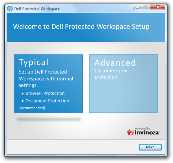 First-Run-Choose-Setup-Type copy - LIMINA