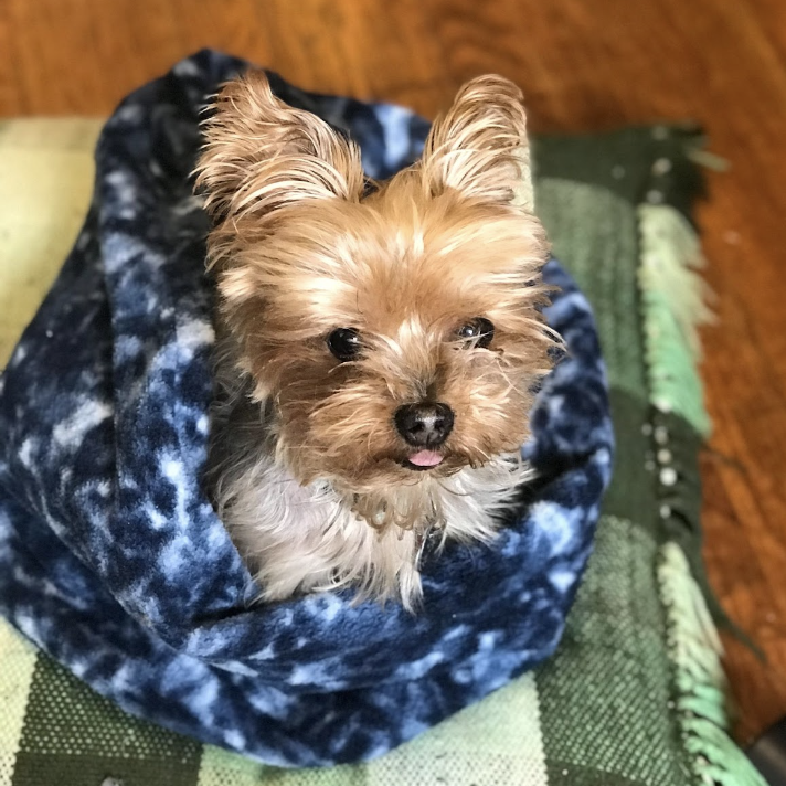 Limina Spotlight - Ellie Krysl - LIMINA